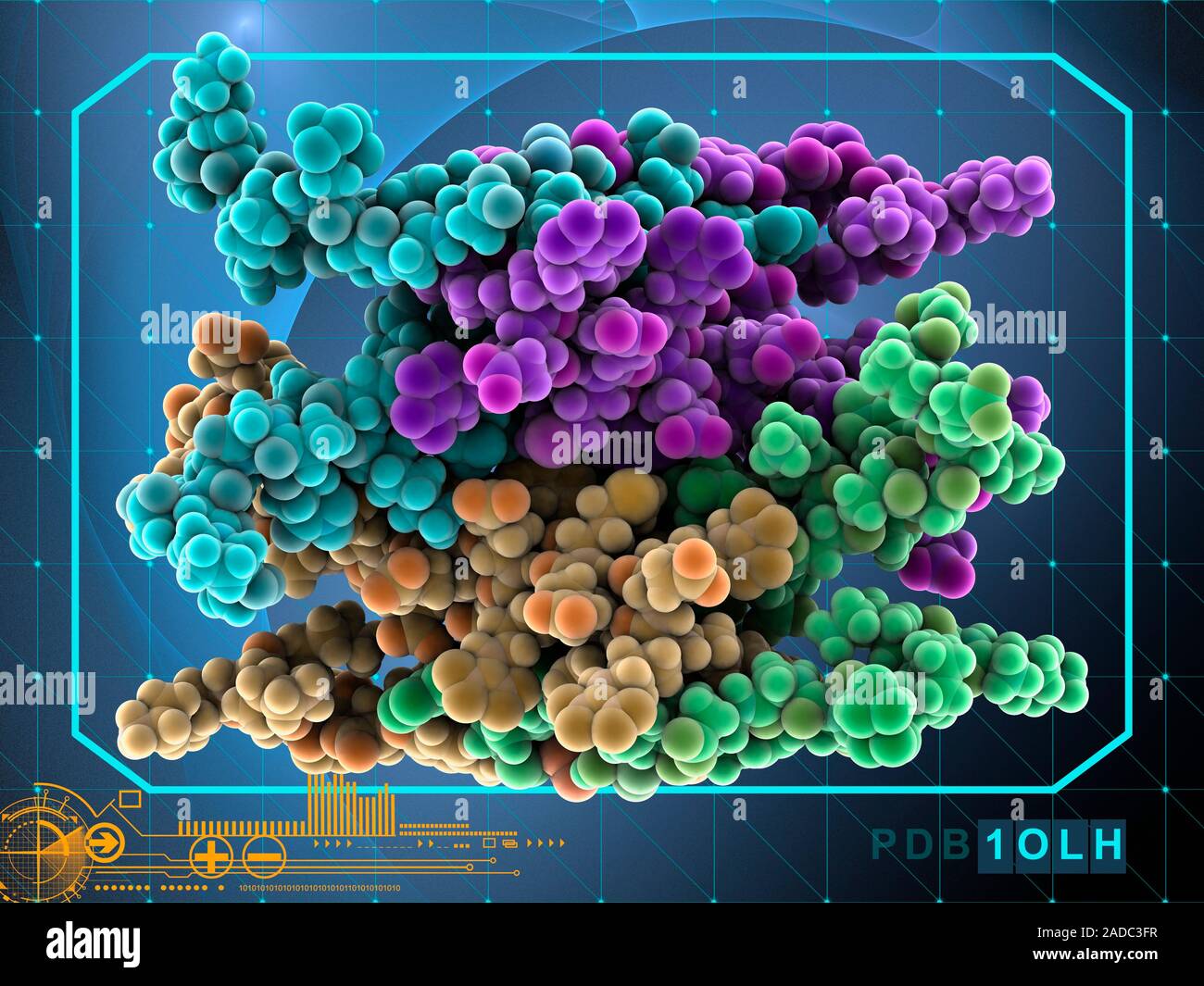 Tumour suppressor p53 molecule. Computer model showing the structure of ...