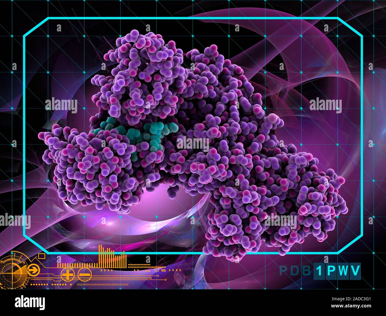 Anthrax toxin lethal factor complex. Computer model showing the ...