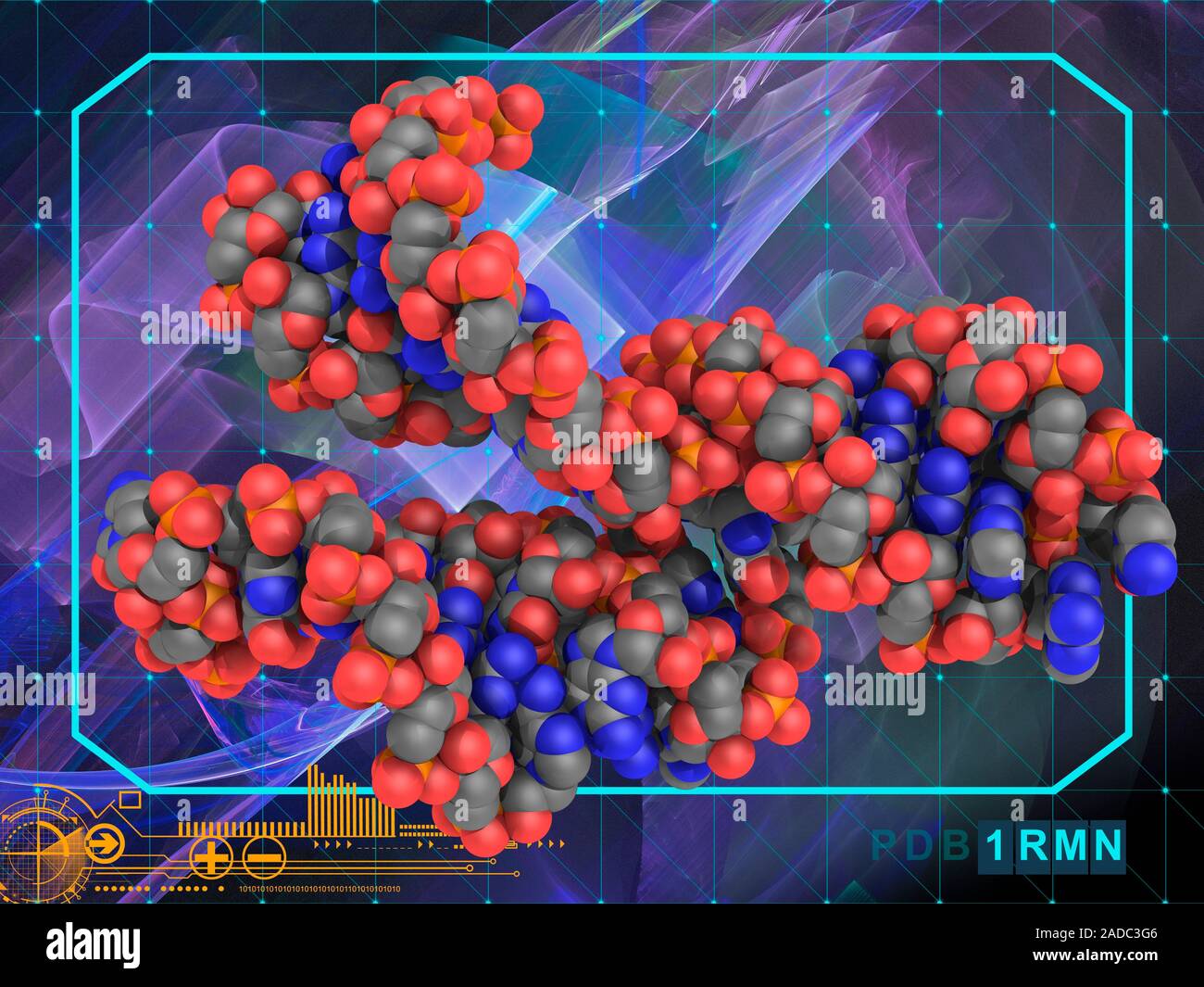 Hammerhead ribozyme, molecular model. Ribozymes are RNA (ribonucleic ...