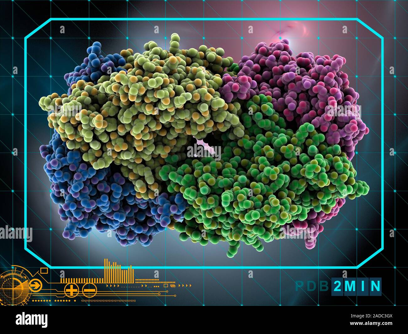Nitrogen-fixing molybdenum iron enzyme, molecular model. This protein ...