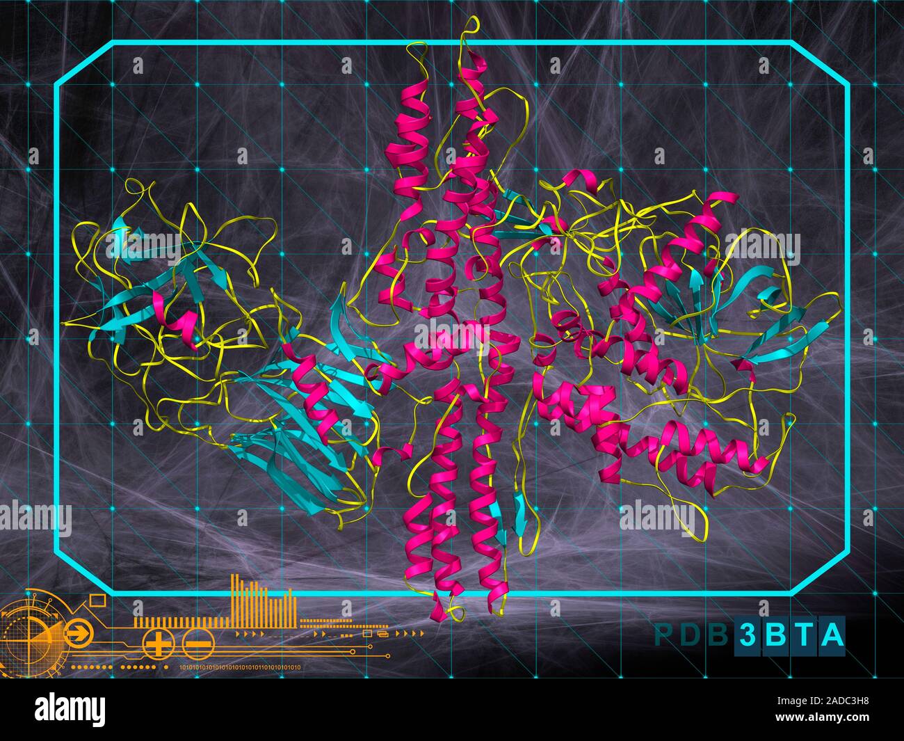 Clostridium botulinum neurotoxin, molecular model showing secondary ...