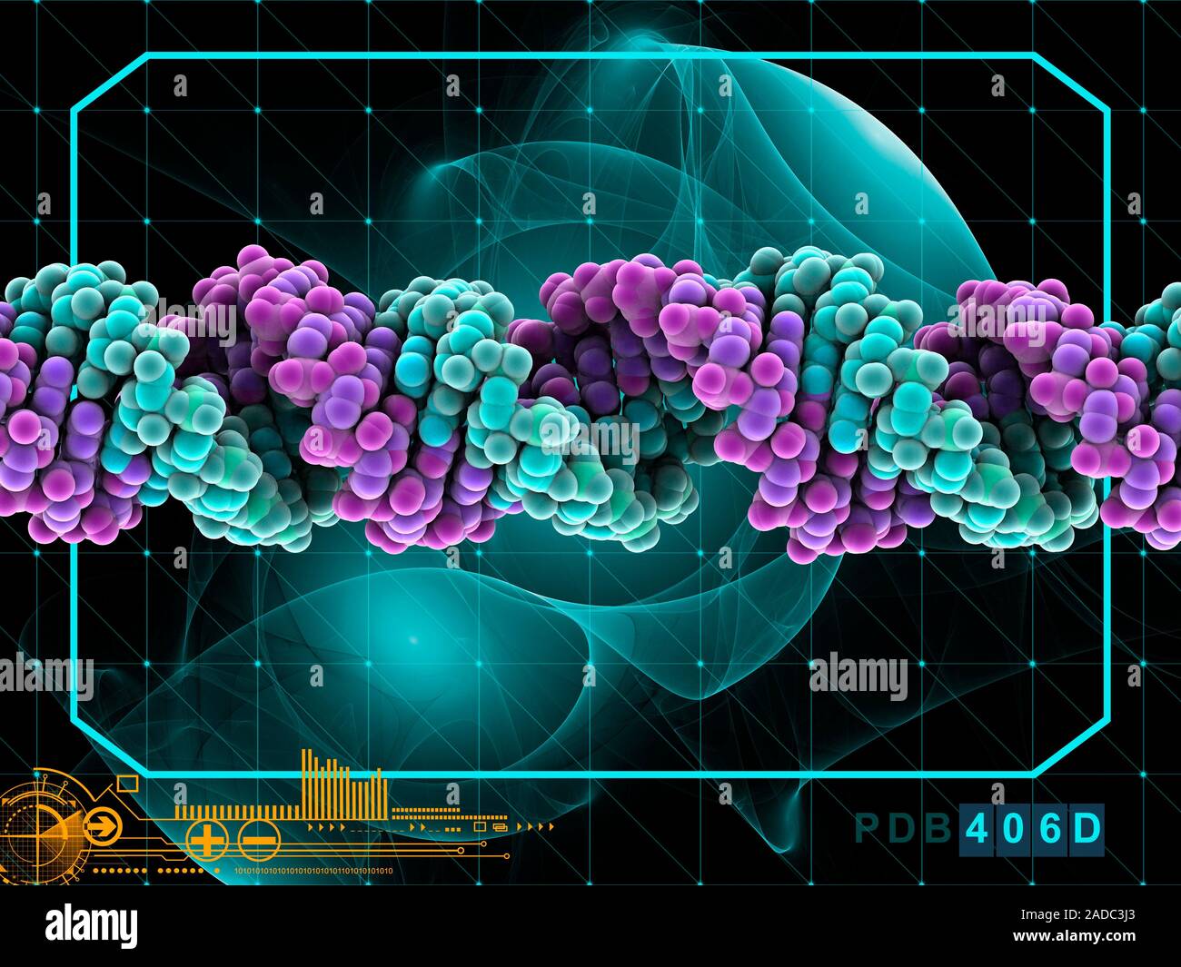 Double-stranded RNA (ribonucleic acid) molecule, molecular model. The ...