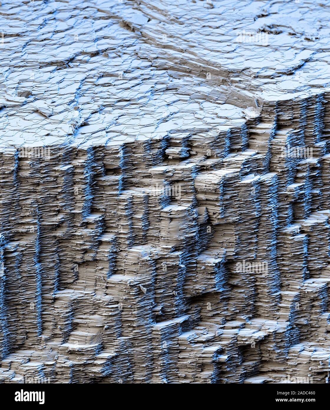 Nacre crystal layers. Coloured scanning electron micrograph (SEM) of ...