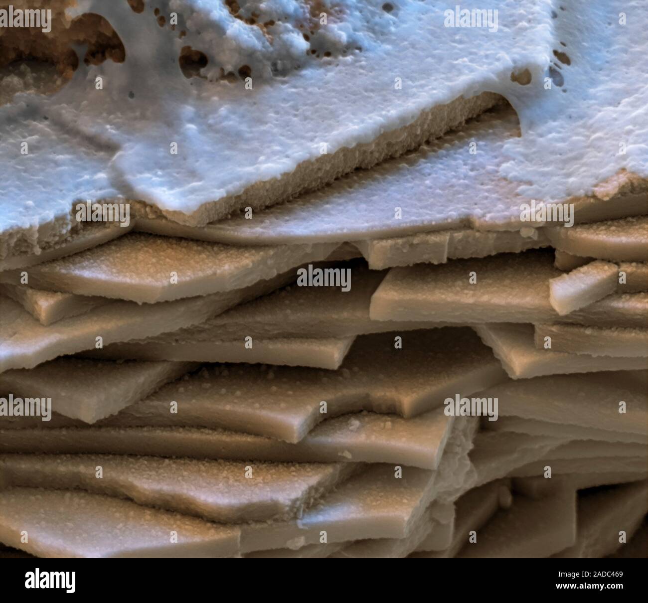 Nacre crystal layers. Coloured scanning electron micrograph (SEM) of ...