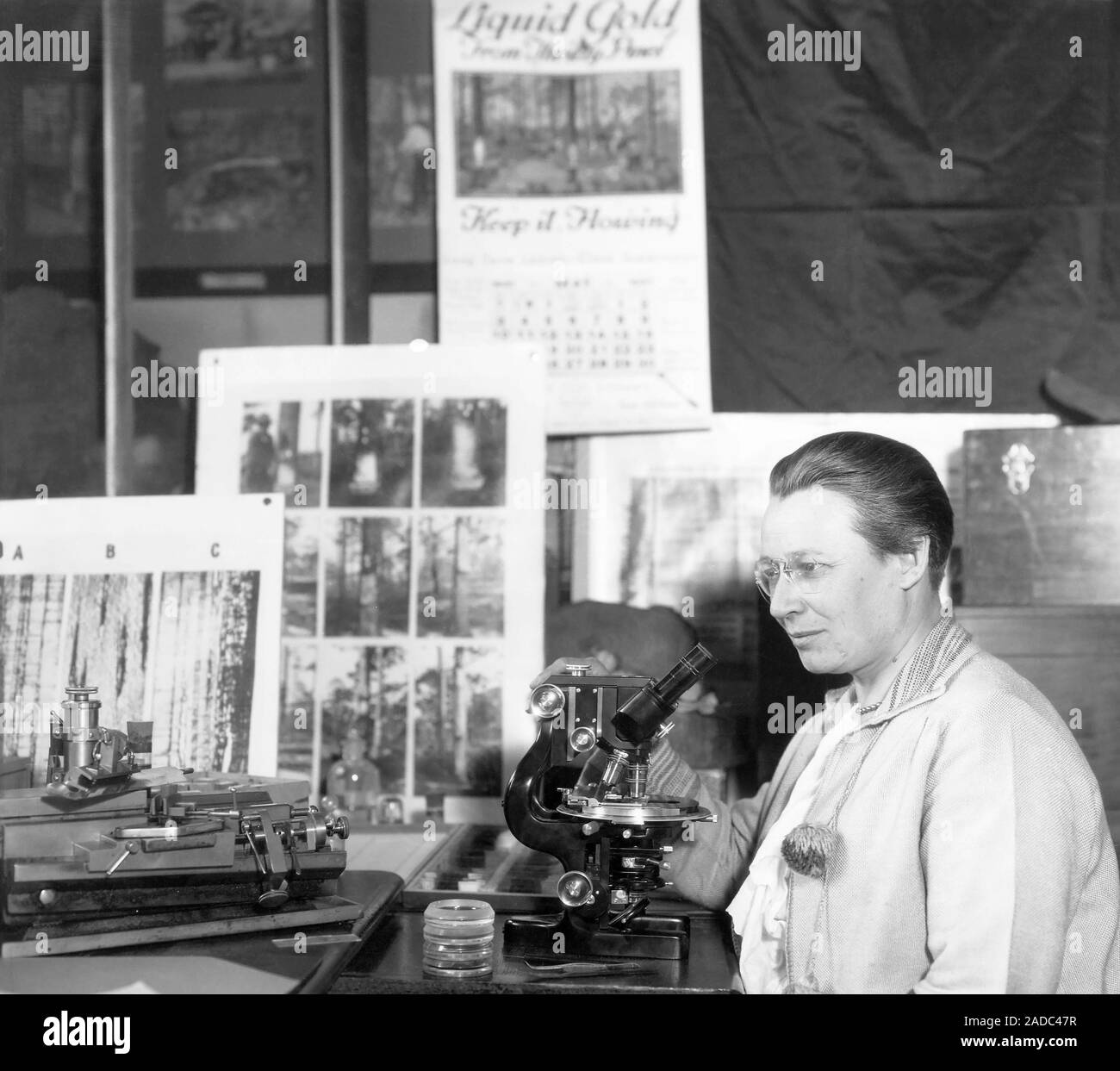 Eloise Gerry (1885-1970), US botanist. Eloise was a research scientist whose work contributed ...