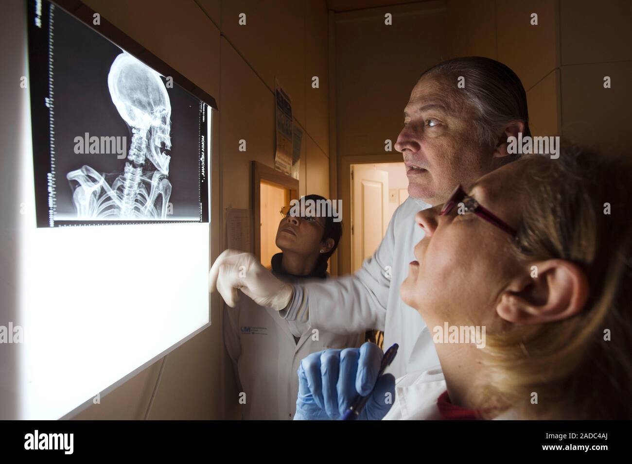 Peruvian mummy, X-ray research. Geneticist Coralee Castillo (left ...