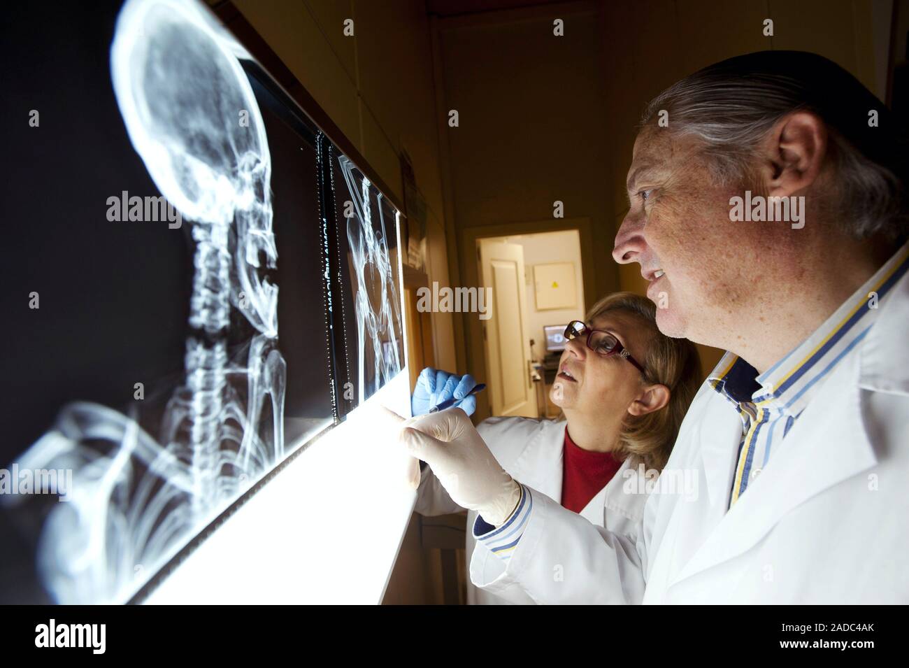 Peruvian mummy, X-ray research. Researcher Mercedes Gonzalez (left) and ...
