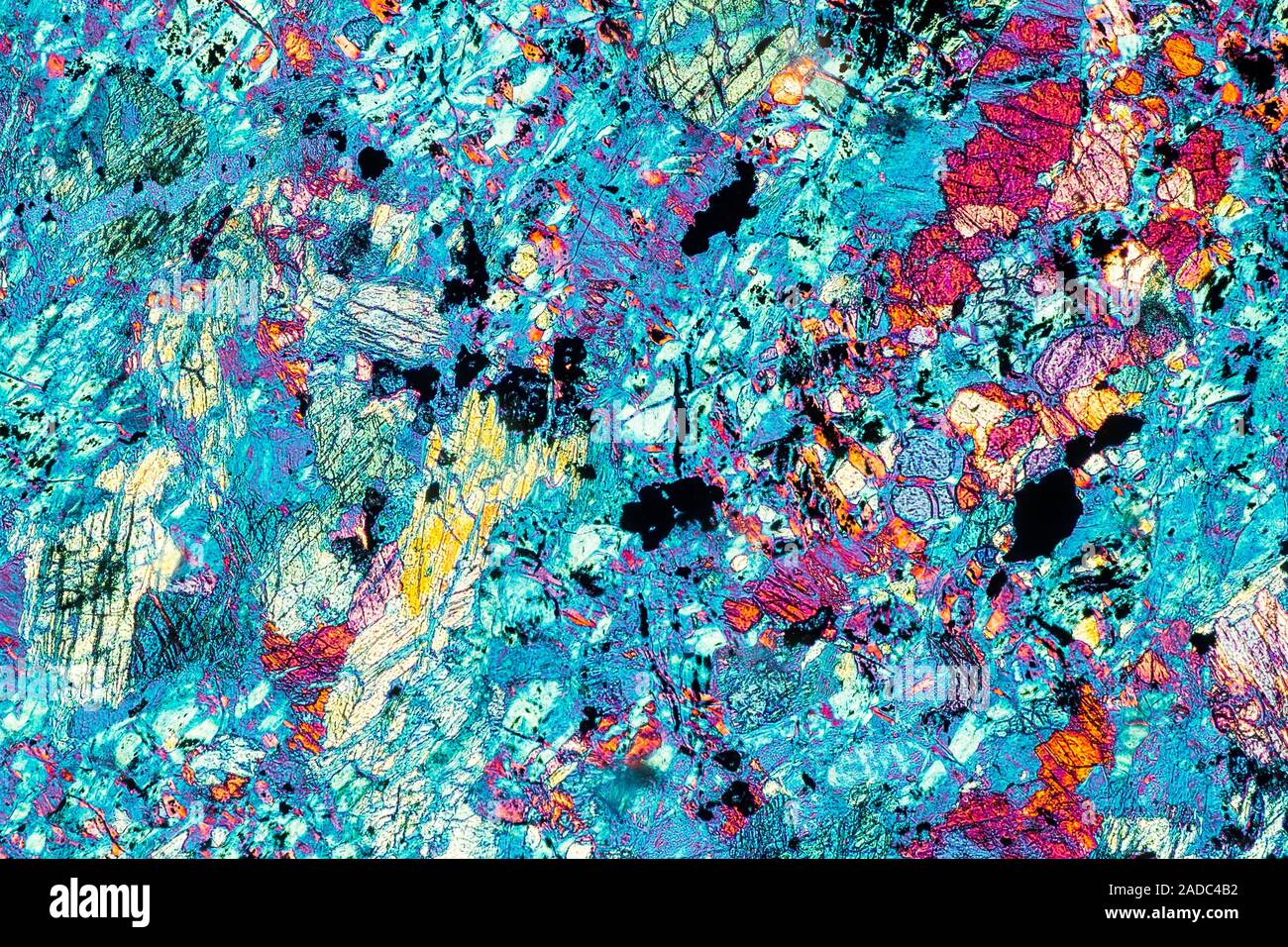 Polarised light micrograph of a thin section of granulated metabasite ...