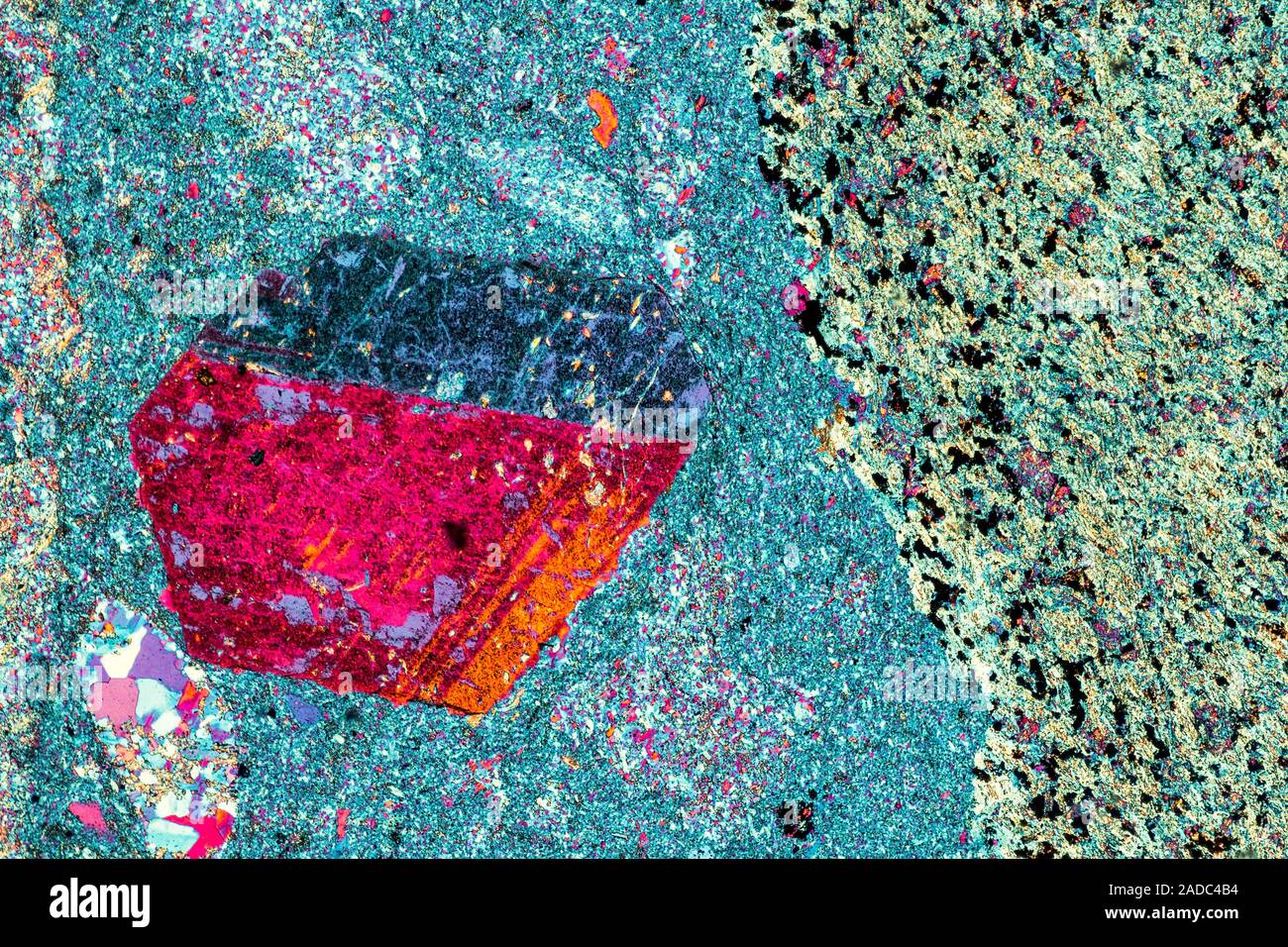 Polarised light micrograph of a thin section of agglomerate rock ...