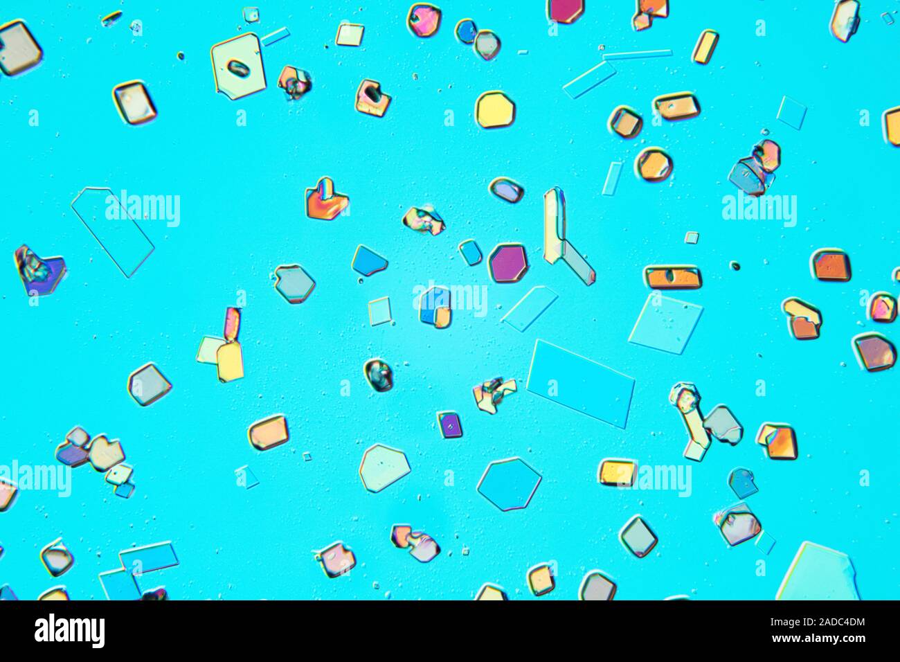 Polarised light micrograph of potassium chlorate crystals Stock Photo ...
