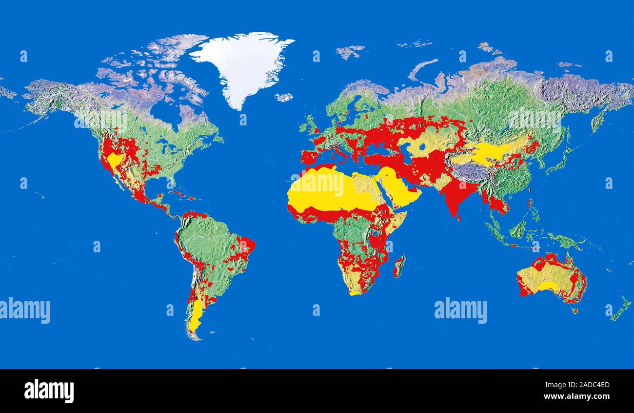 Risk of human-induced desertification. Global map of the Earth, colour ...