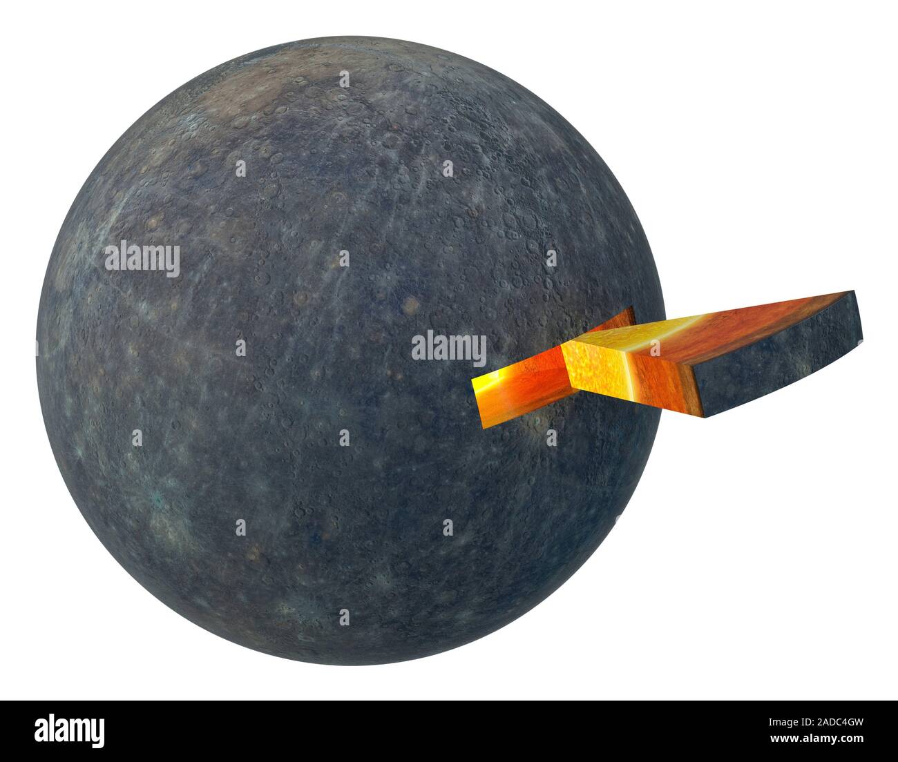 Internal structure of Mercury, illustration. Mercury has a metallic ...