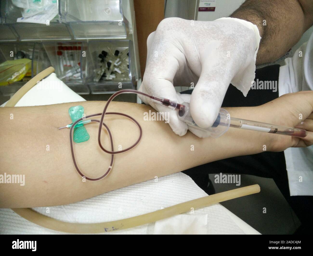 Young girl of six having blood drawn from her arm for a blood test ...