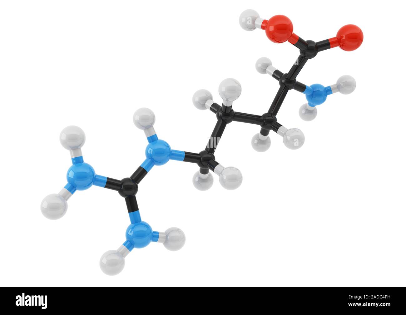 Arginine amino acid molecule. Computer illustration showing the ...