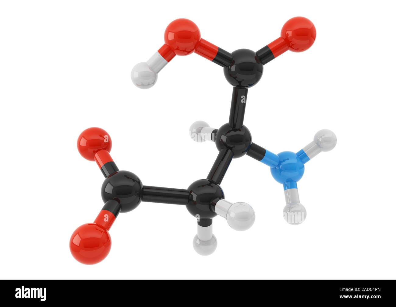 Aspartic acid amino acid molecule. Computer illustration showing the ...
