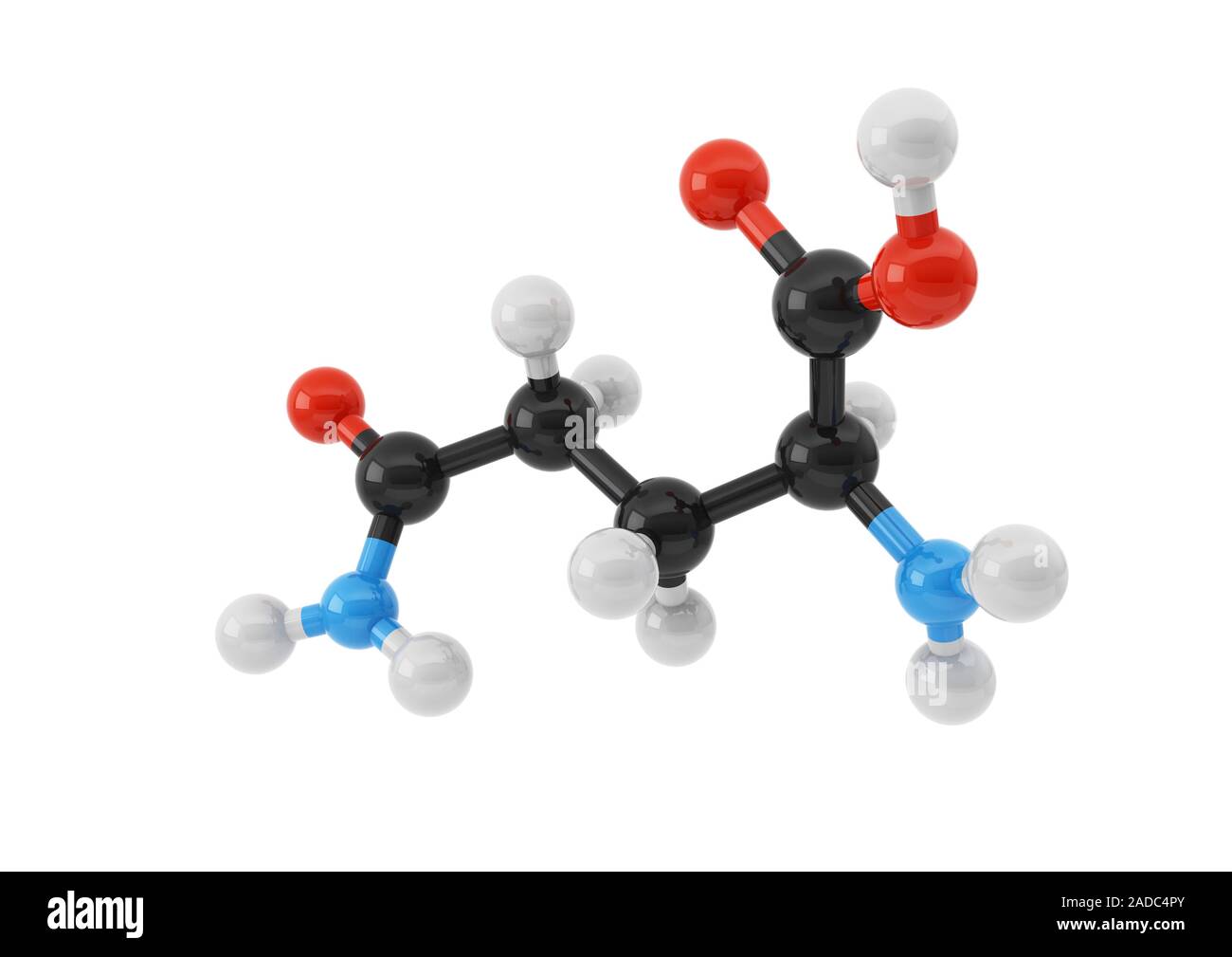 Glutamine Amino Acid Molecule Computer Illustration Showing The Structure Of A Molecule Of The