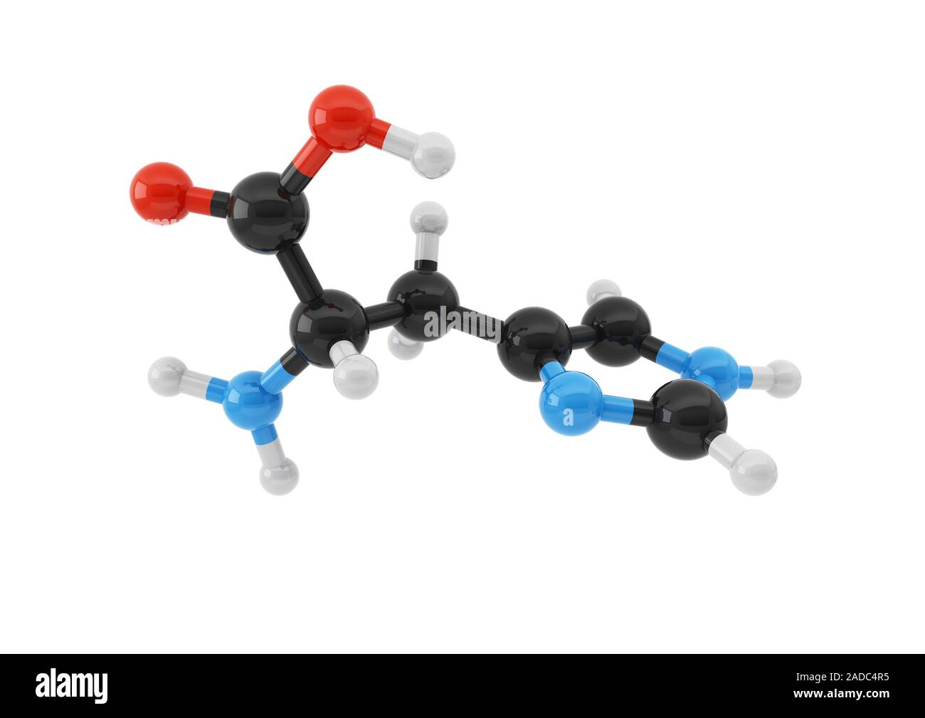 Histidine amino acid molecule. Computer illustration showing the ...