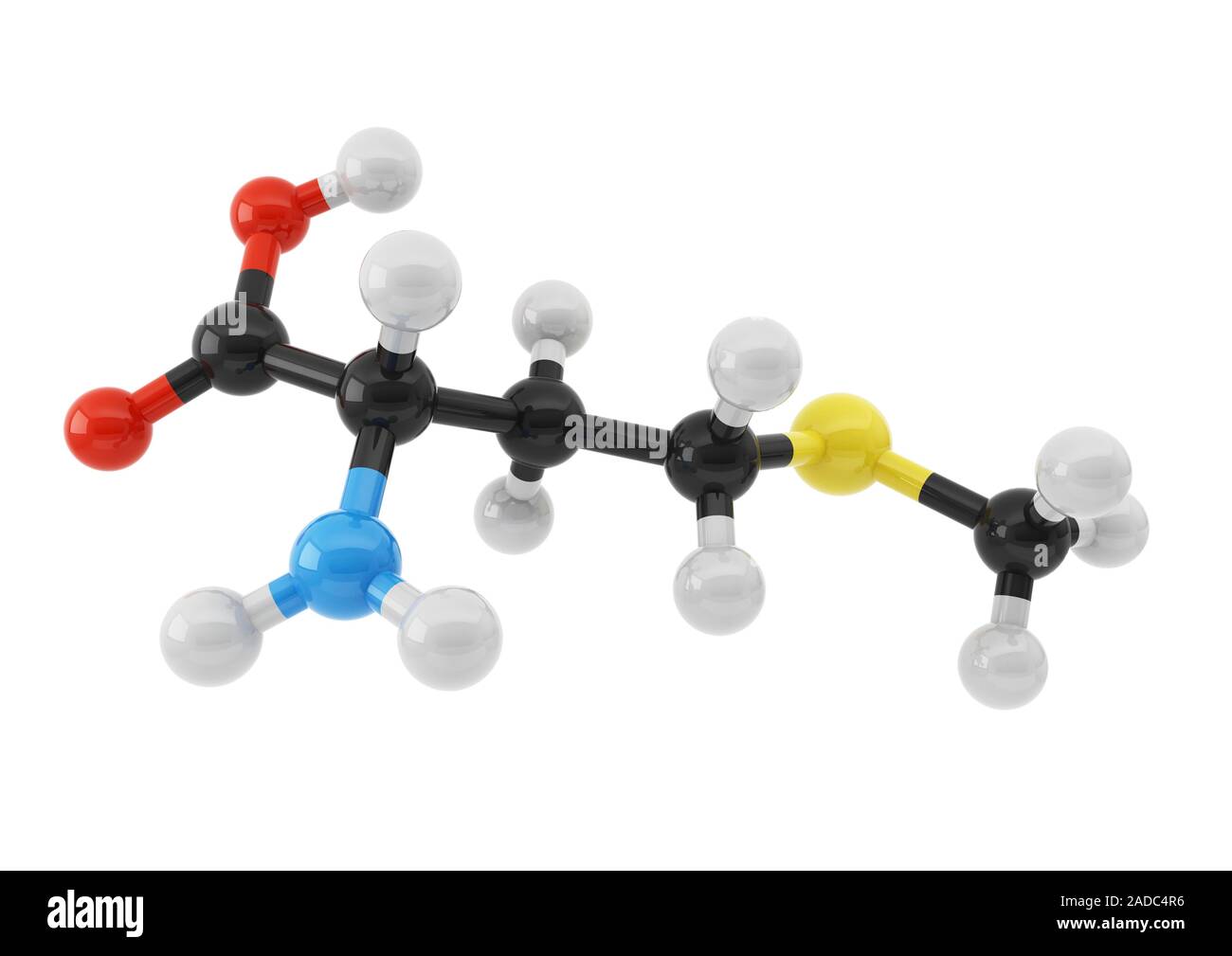 Methionine amino acid molecule. Computer illustration showing the ...
