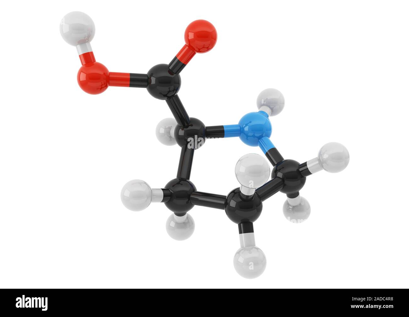 Proline amino acid molecule. Computer illustration showing the ...