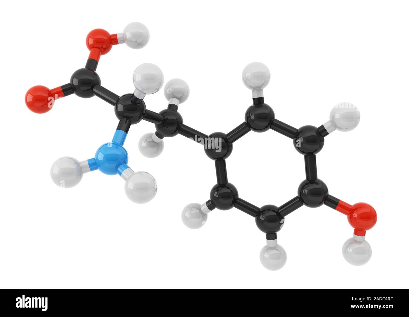 Tyrosine amino acid molecule. Computer illustration showing the ...