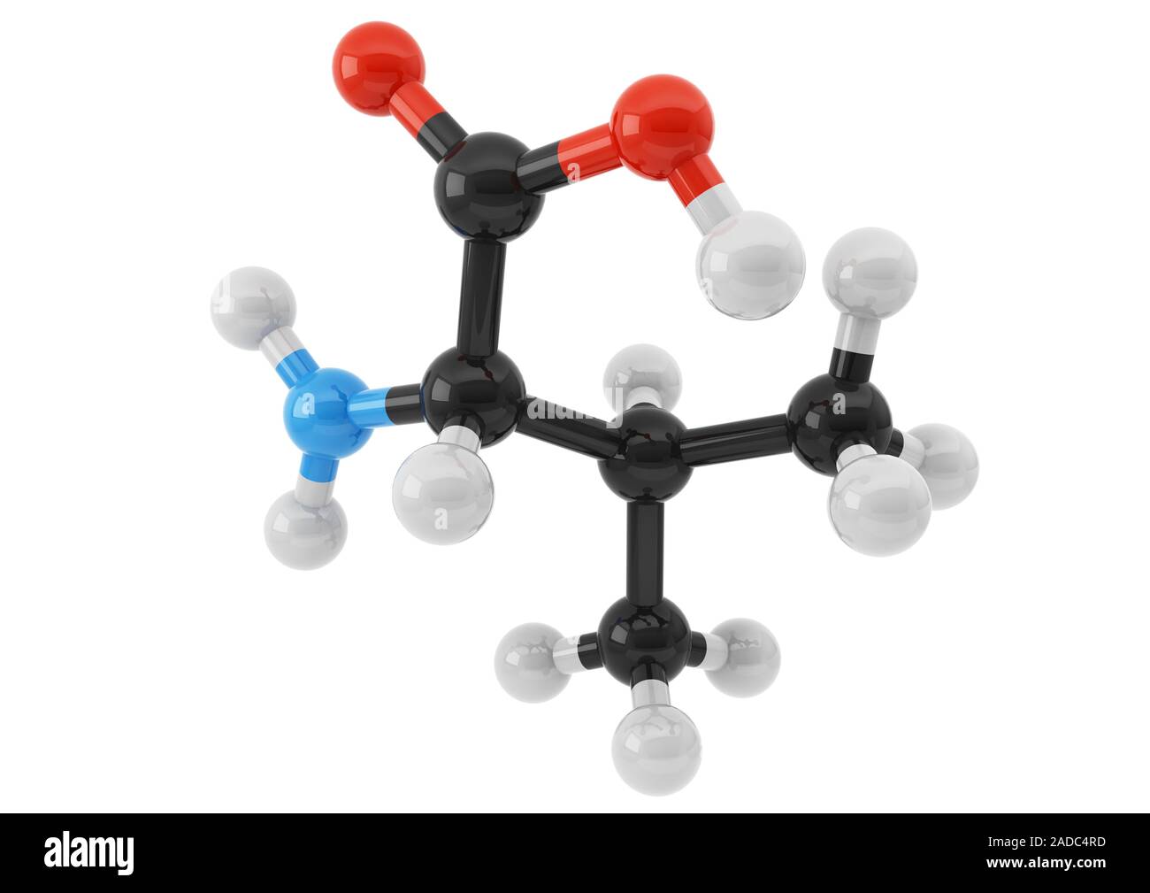 Valine Amino Acid Molecule Computer Illustration Showing The Structure Of A Molecule Of The
