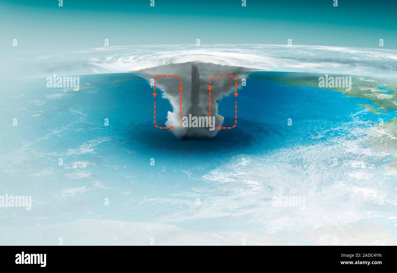 Hurricane formation. Illustration showing the circulation of air within ...
