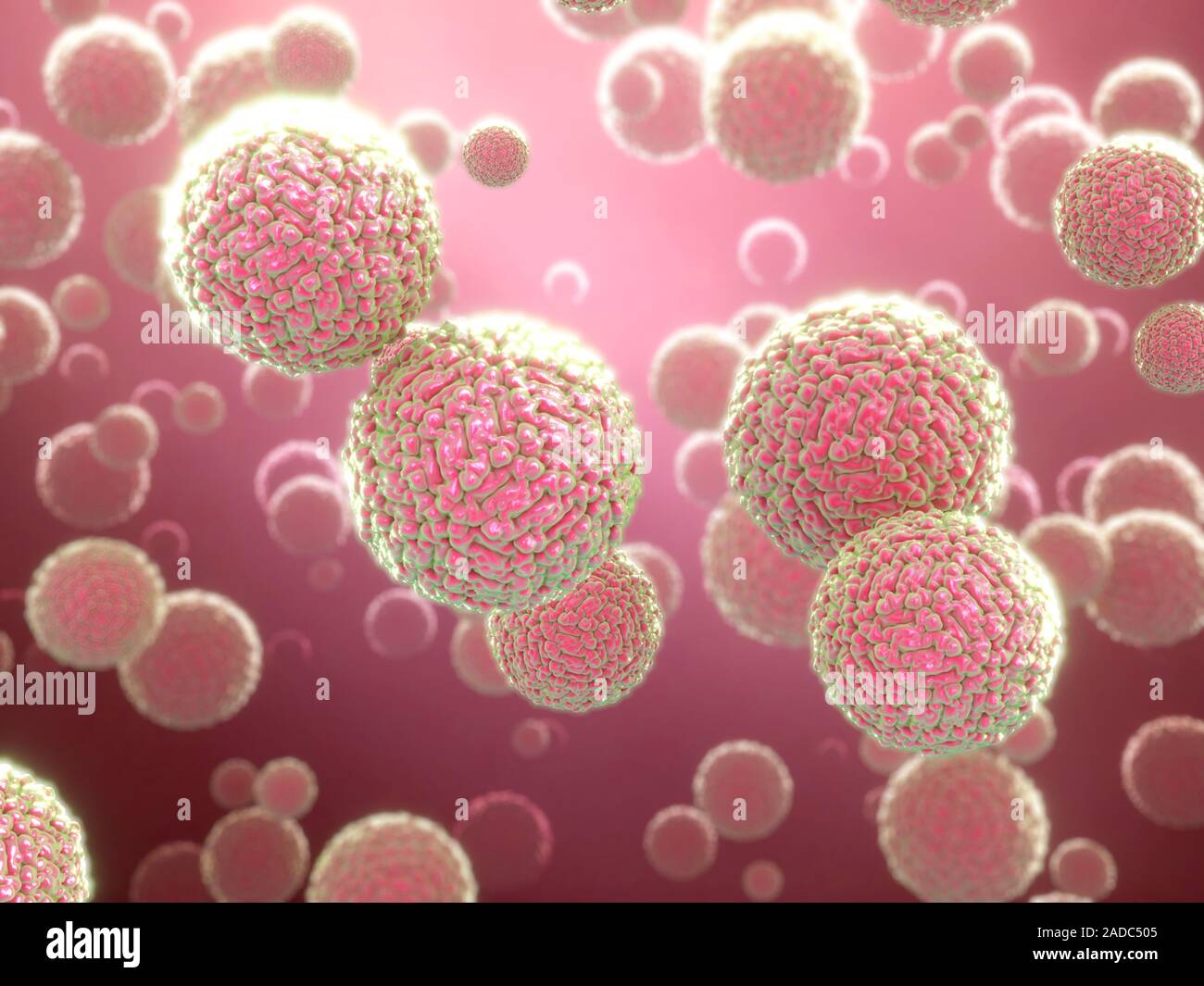 Zika virus particles, computer illustration. Zika is an RNA ...