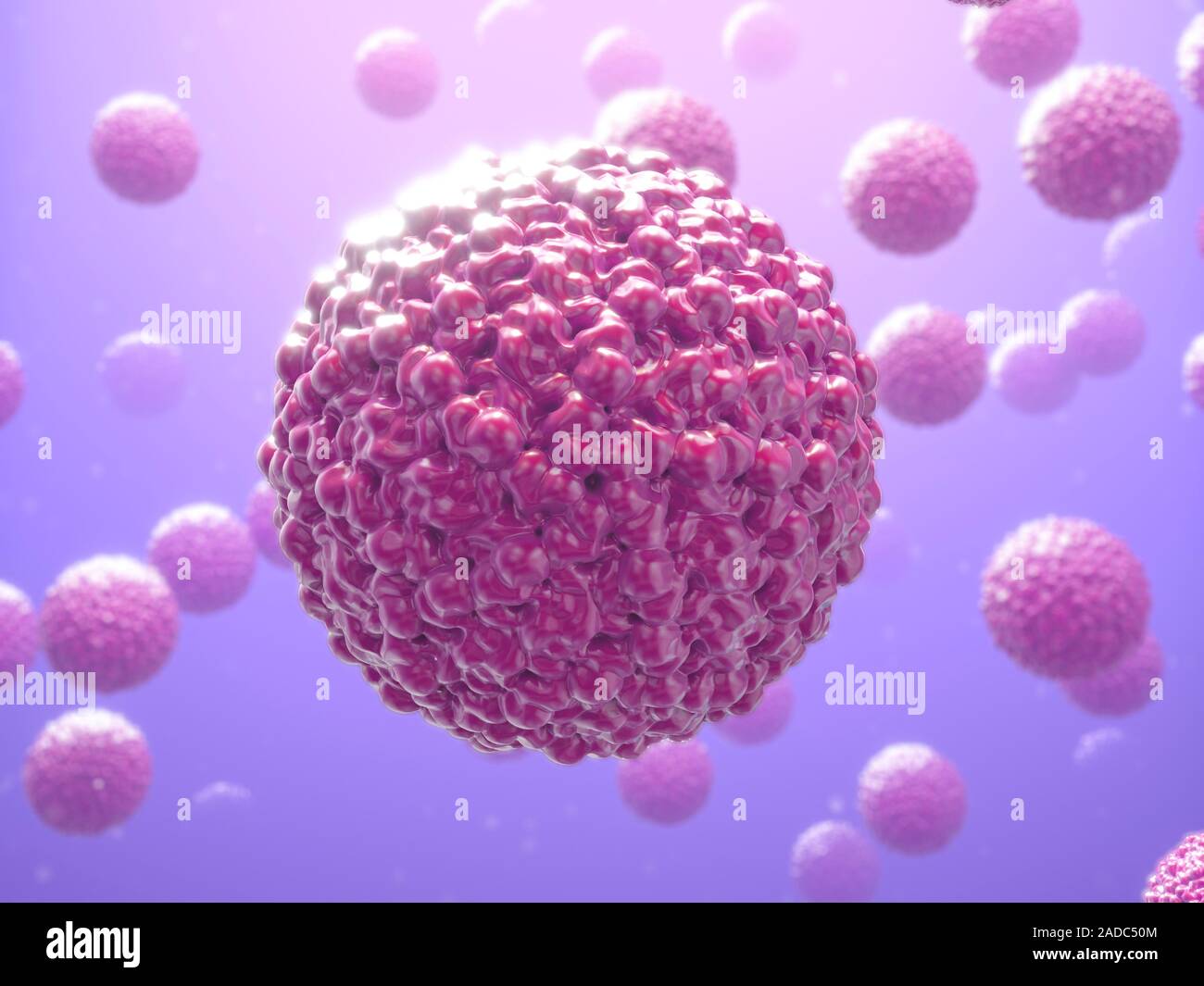 Zika virus particles, computer illustration. Zika is an RNA ...