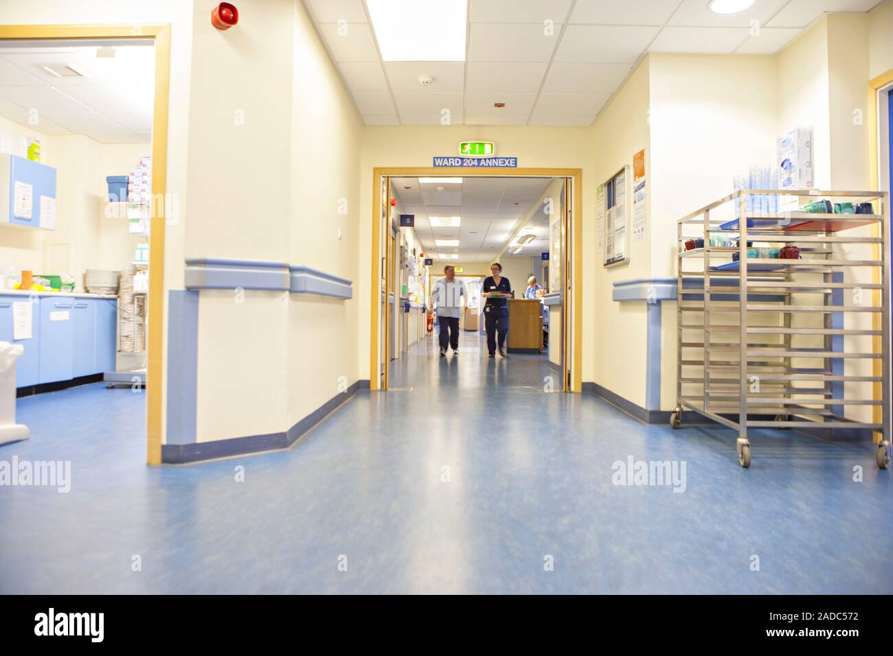 Hospital corridor. Medical staff walking through corridors connecting ...