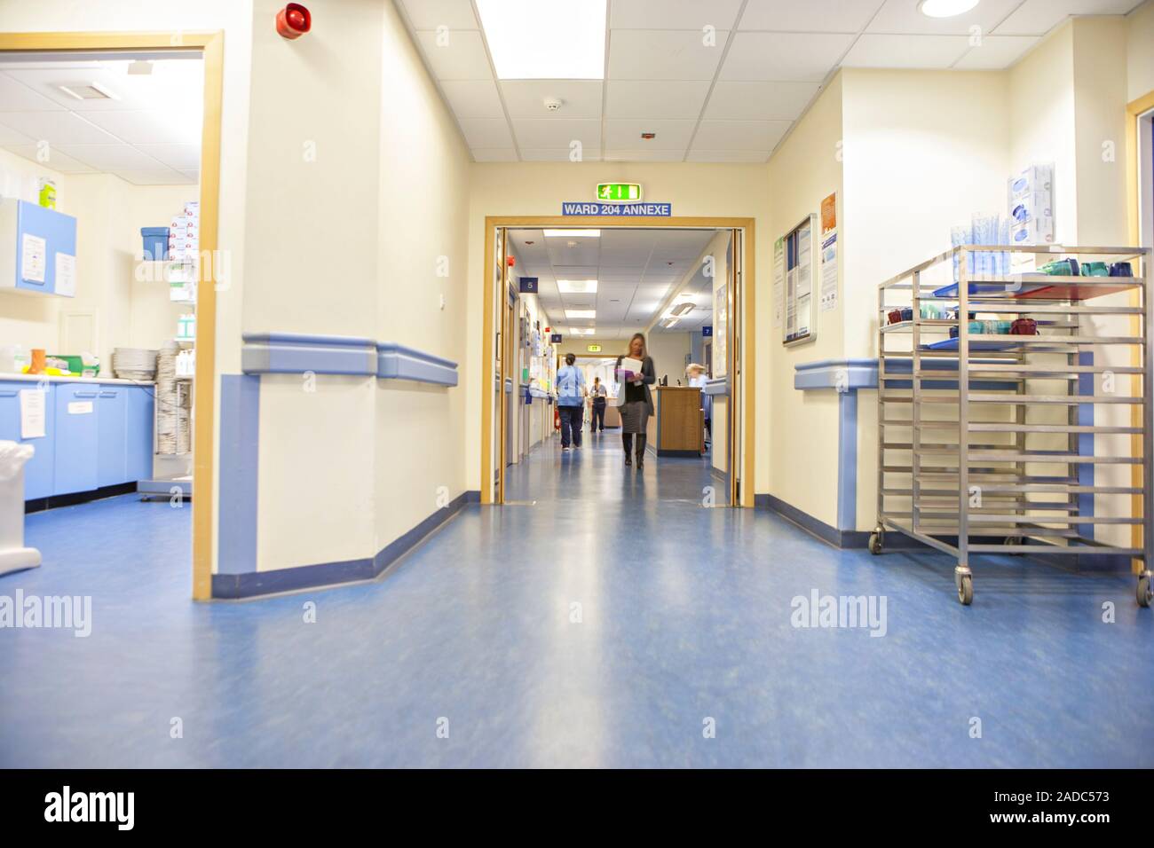 Hospital corridor. Medical staff walking through corridors connecting ...