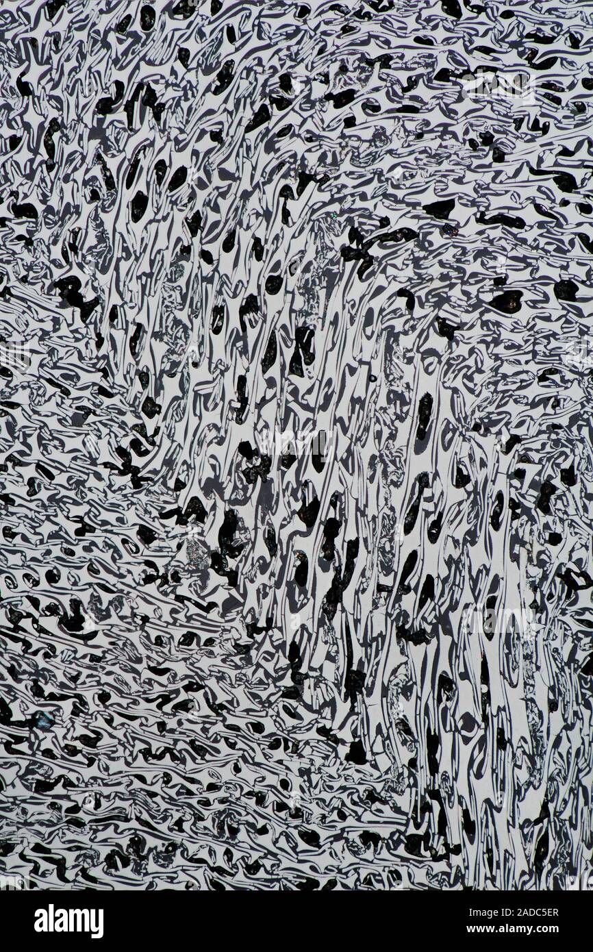 Light micrograph of the polished surface of fusain, a lithotype of ...