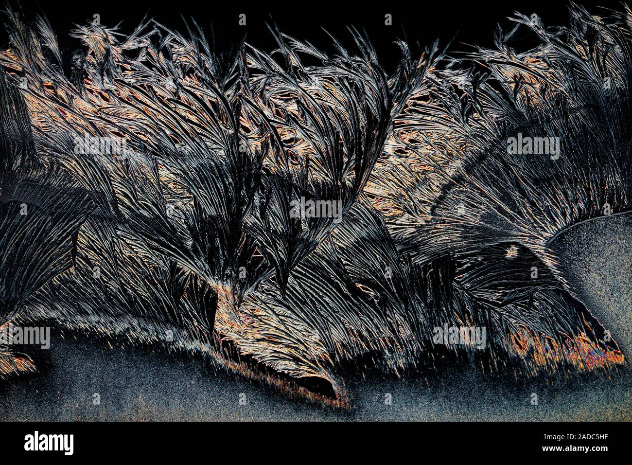 Light micrograph of amoxicillin (INN) crystals. Amoxicillin is a ...