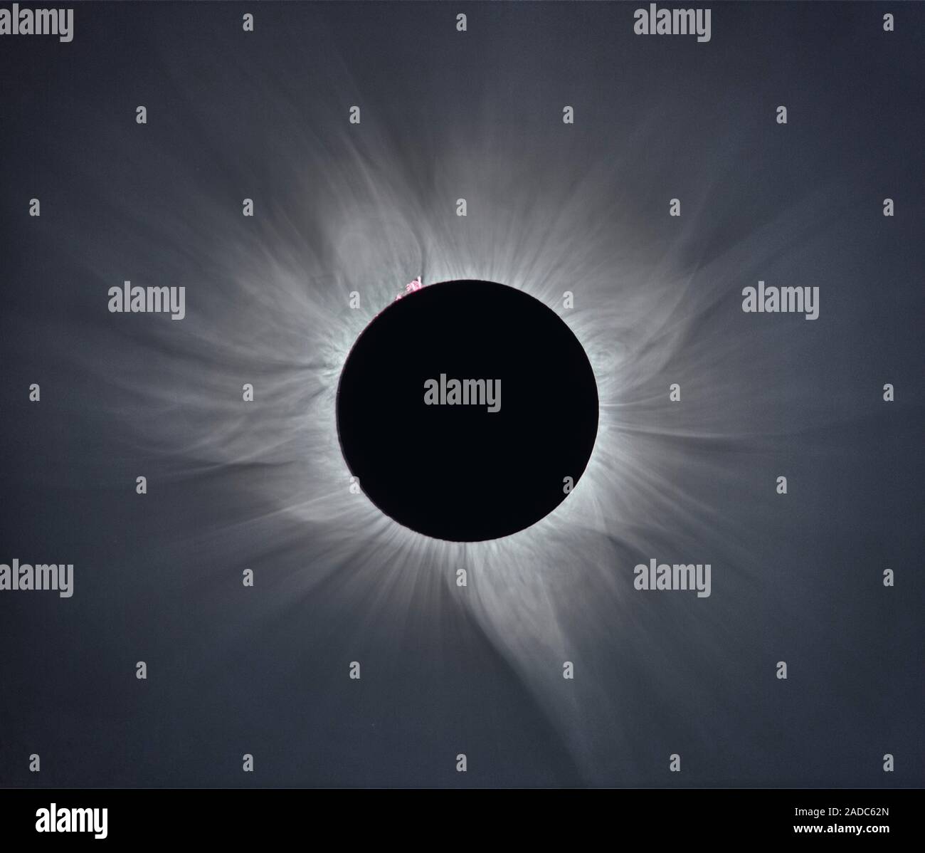 Total solar eclipse, with the Sun's inner corona (atmosphere) visible ...