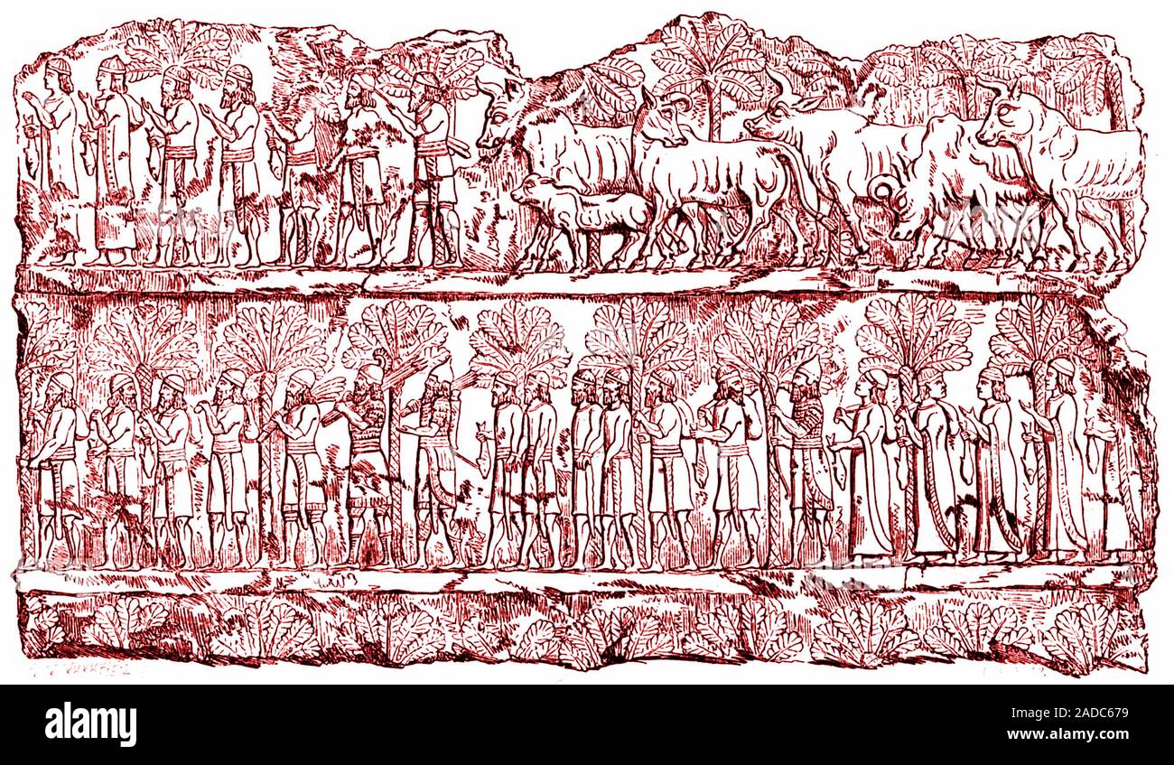 Ancient Assyrian bas relief. 1874 illustration of an ancient bas relief ...