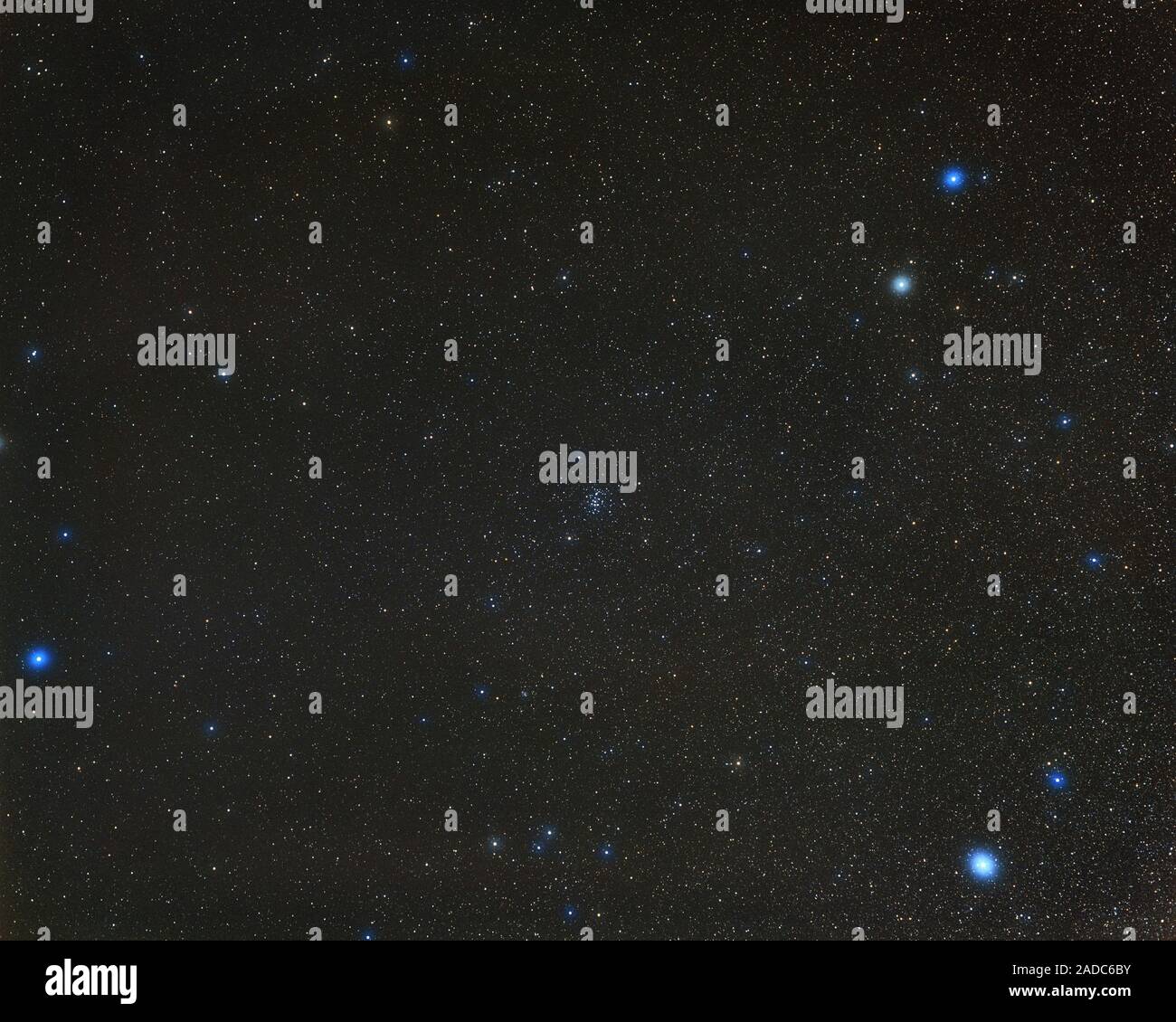 Cancer constellation. Optical image of the constellation of Cancer (the ...