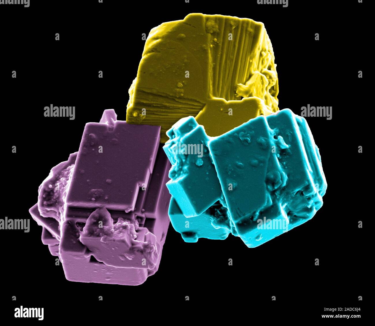 Coloured scanning electron micrograph (SEM) of calcium carbonate cubes ...