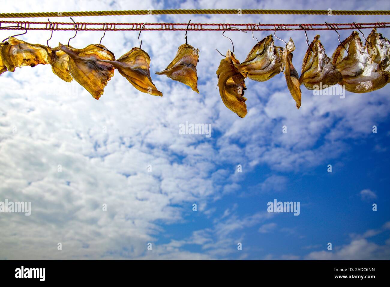 Preparing dried fish hi-res stock photography and images - Alamy
