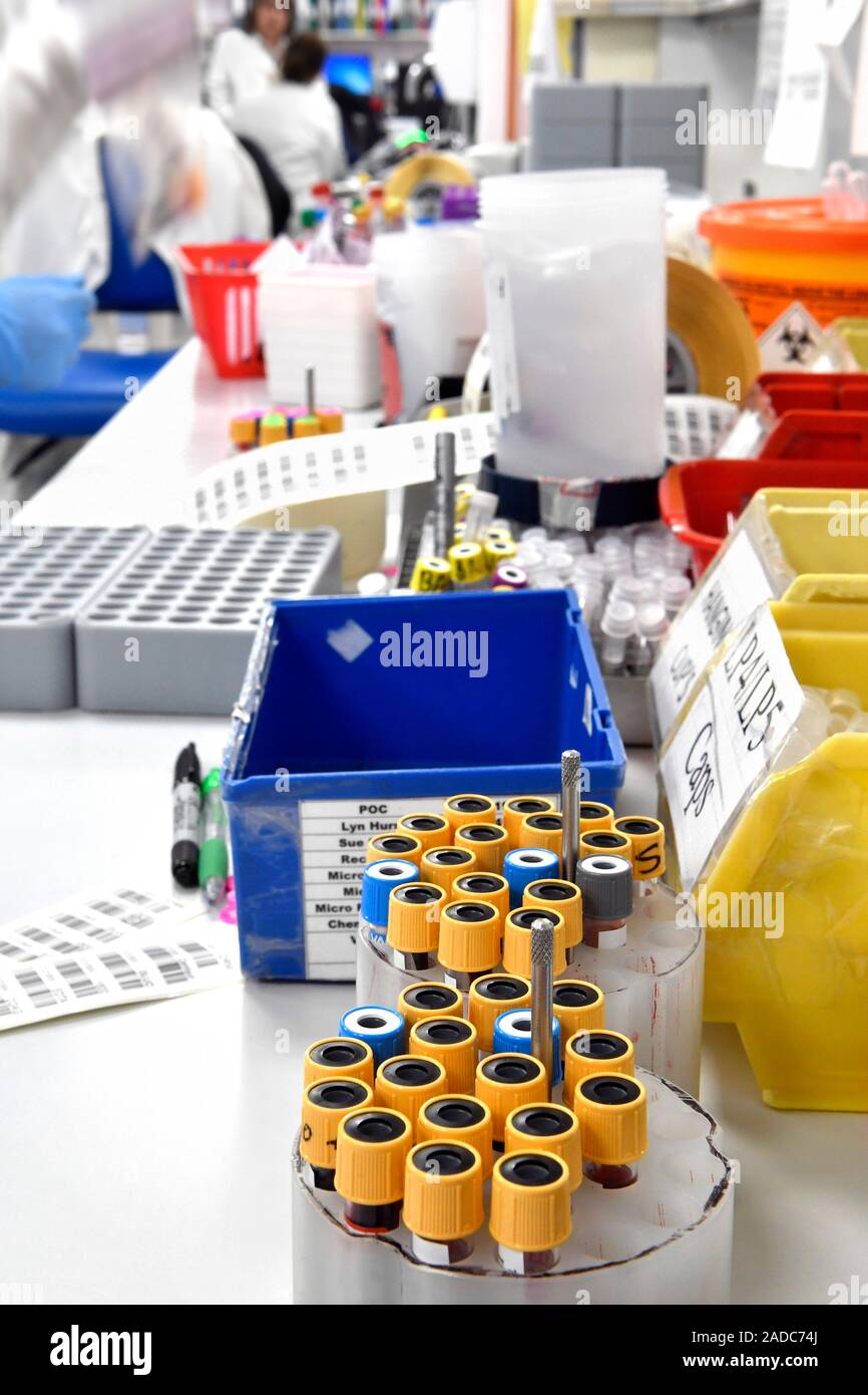 Samples in a pathology laboratory. Colour-coded samples that are being ...