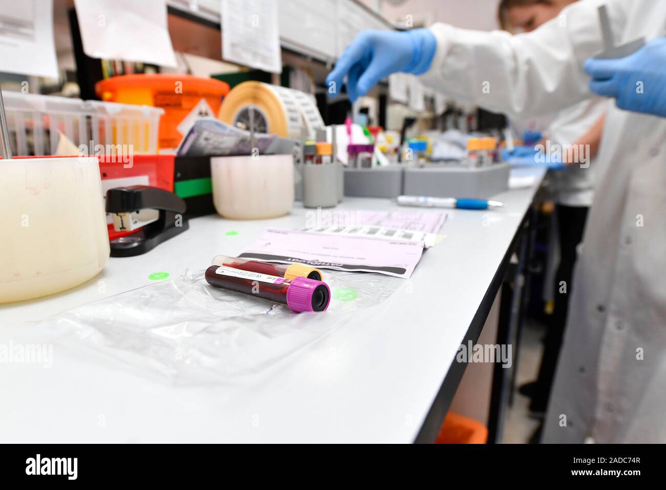 Pathology sample analysis. Technician handling samples that are being ...