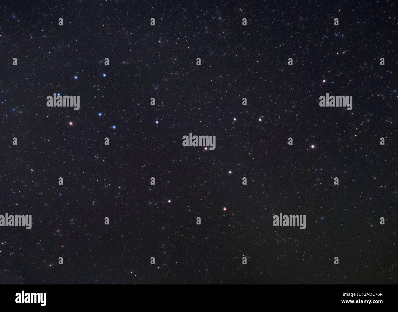 Cetus constellation. Optical image of Cetus, the Sea Monster, a ...