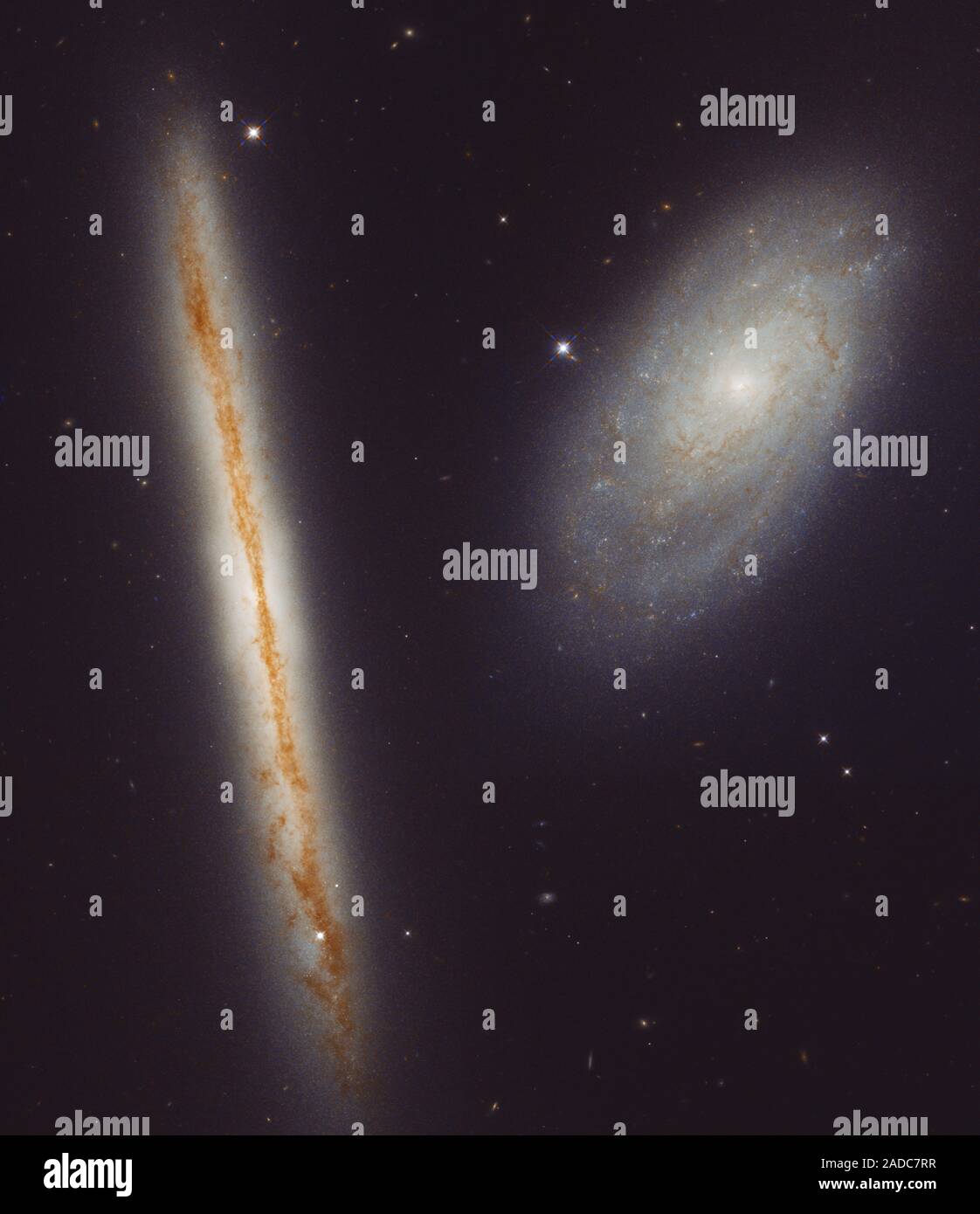 Spiral galaxies NGC 4302 and NGC 4298, infrared Hubble Space Telescope ...
