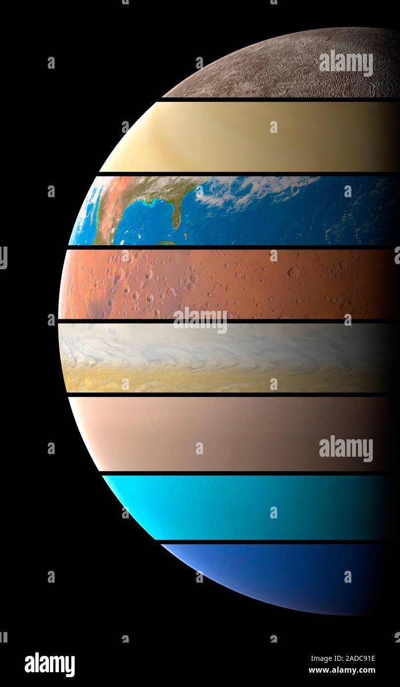 Planets all in one, illustration. This image shows the eight major ...