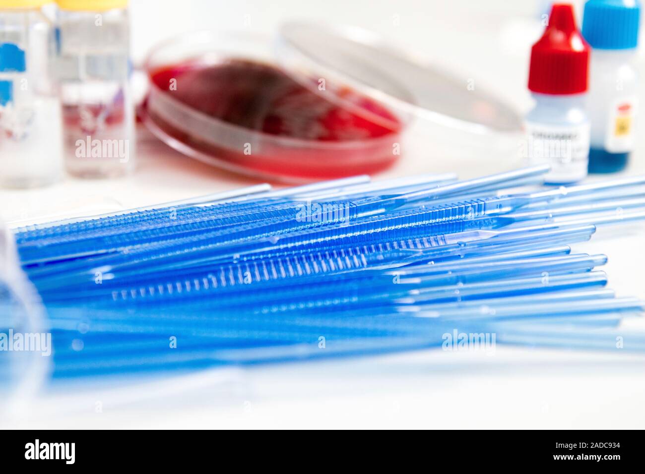 Microbiology equipment. Petri dish, chemicals and inoculating equipment ...