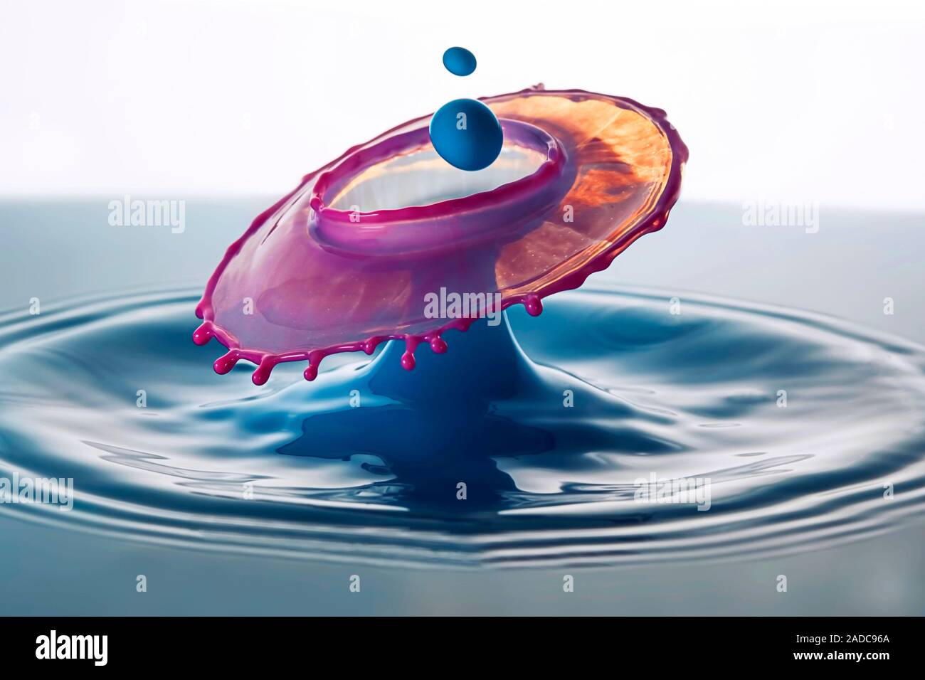 Water and milk drop impact. High-speed photograph of secondary drop ...