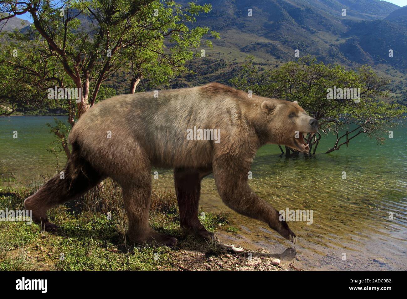 Agriotherium. Illustration of Agriotherium, an ancient African bear ...