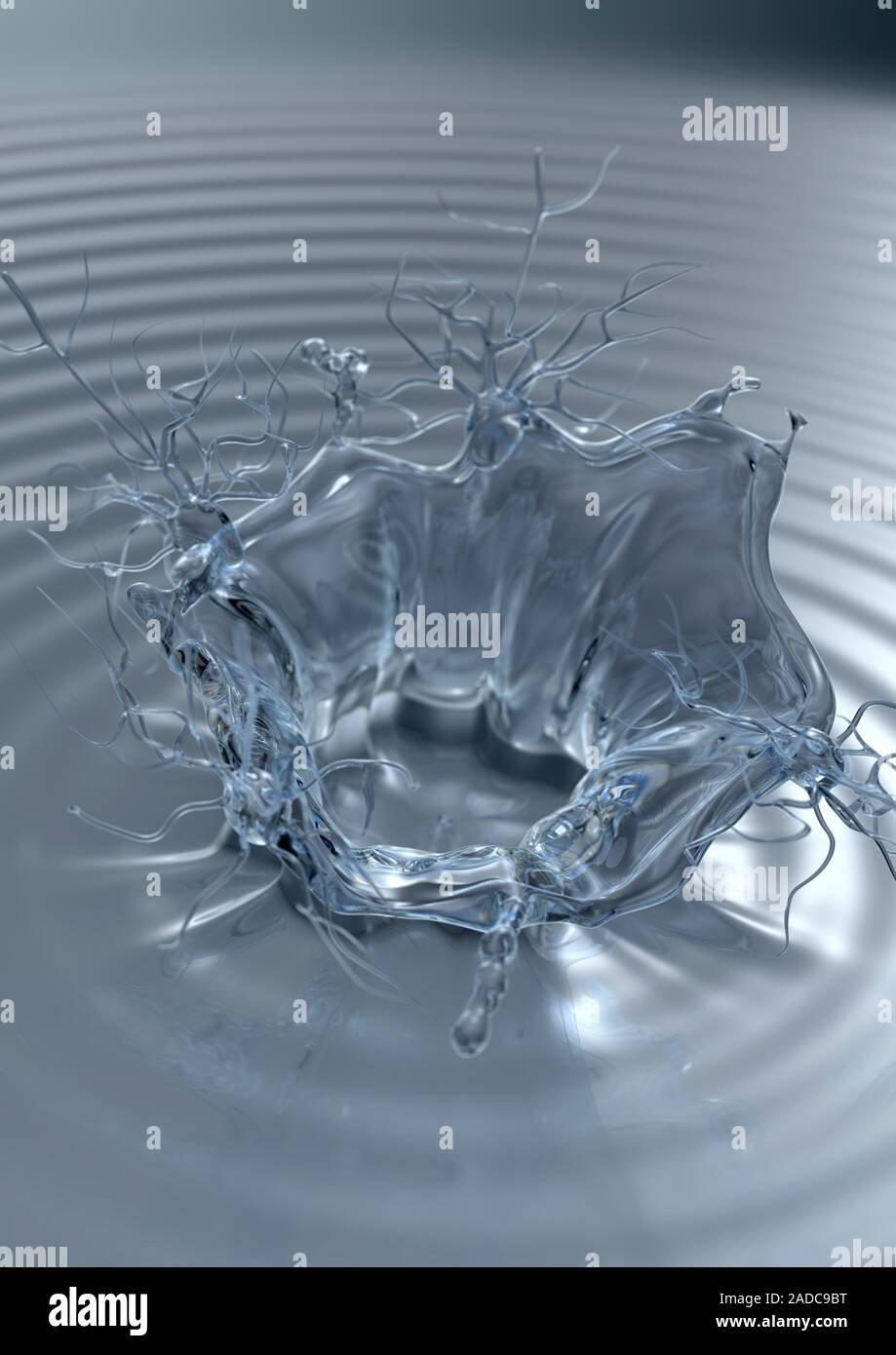 Thirst-regulating neurons, conceptual image. Illustration of a crown ...