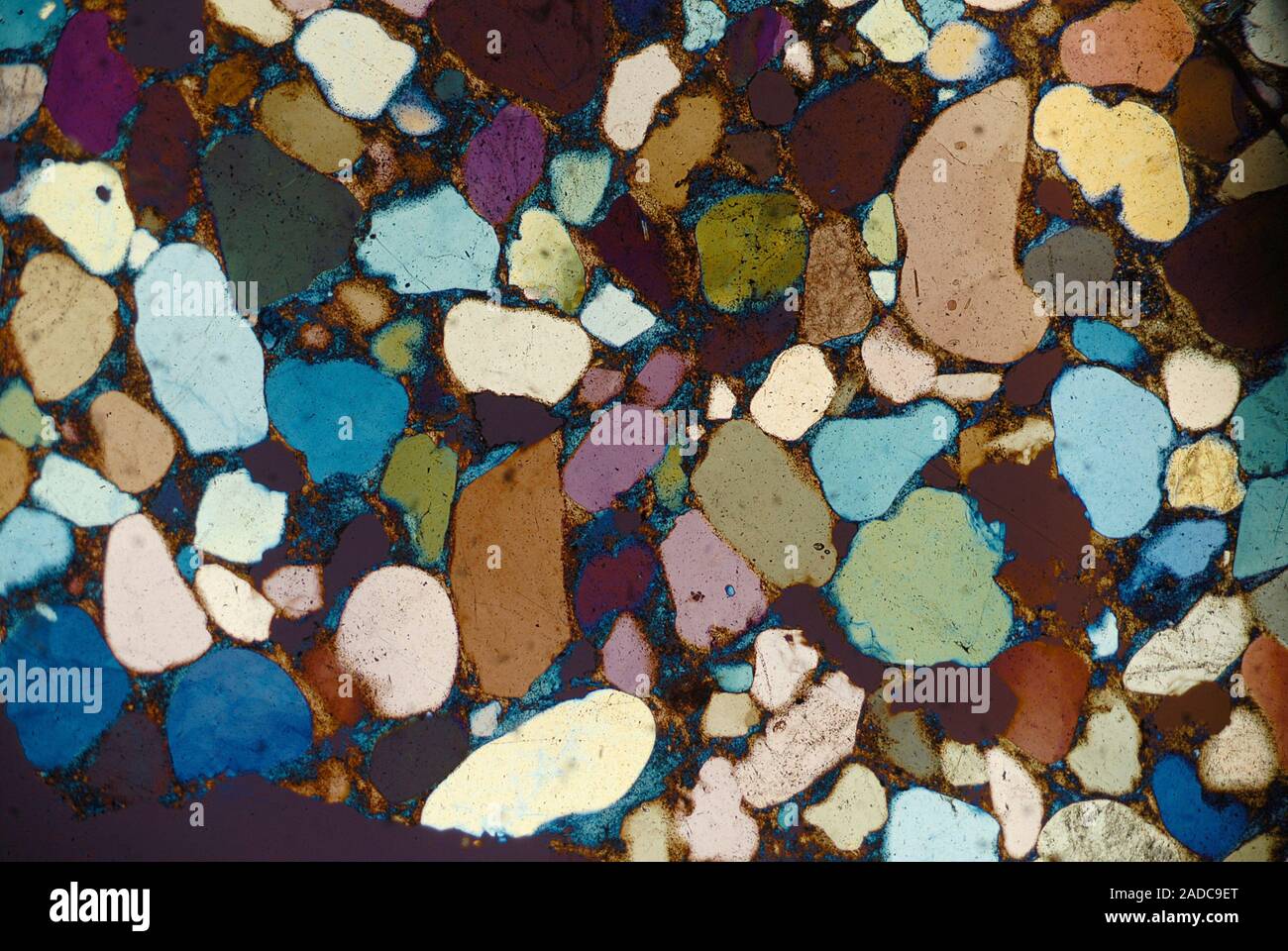 Polarised light micrograph of sandstone, or arenite with wave retarding ...