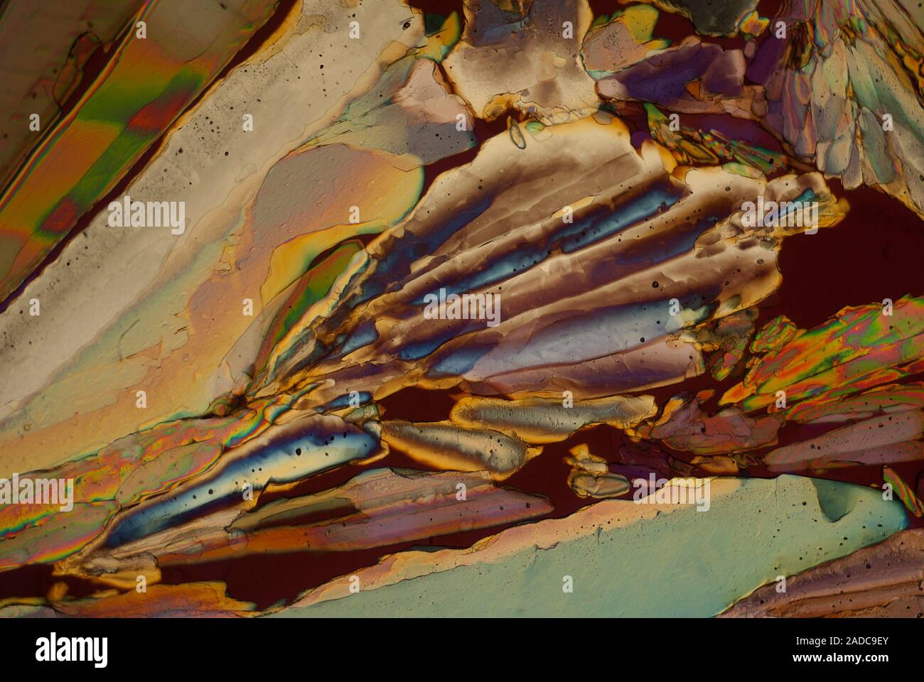 Polarised light micrograph of unrefined cane sugar. Cane sugar is ...