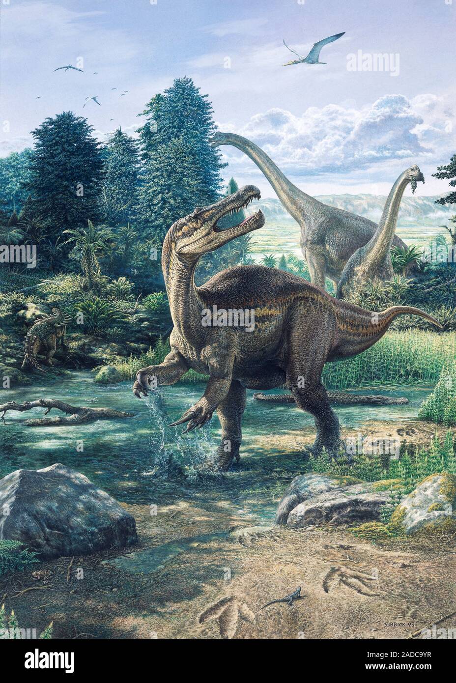 Baryonyx walkerii dinosaur, illustration. Baryonyx was a fish-eating ...