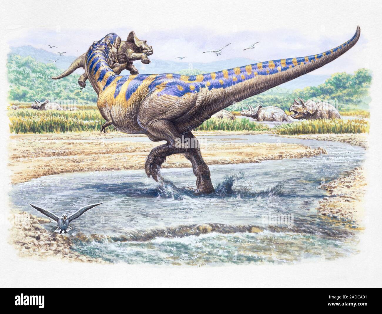 John Sibbick Tyrannosaurus Illustations Tim Probert: Dino Party!